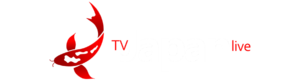 Live TV - TV Japan Live